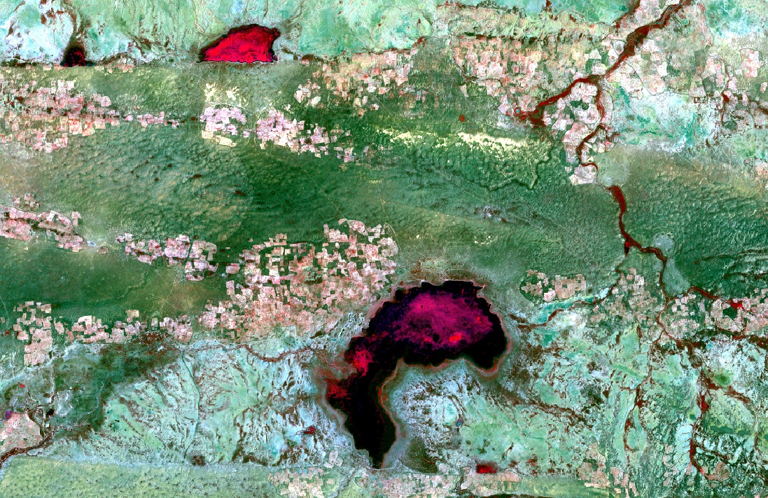 EARTH OBSERVATION - Program against desertification